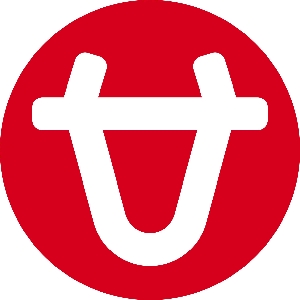 东方牛地板--大牛 