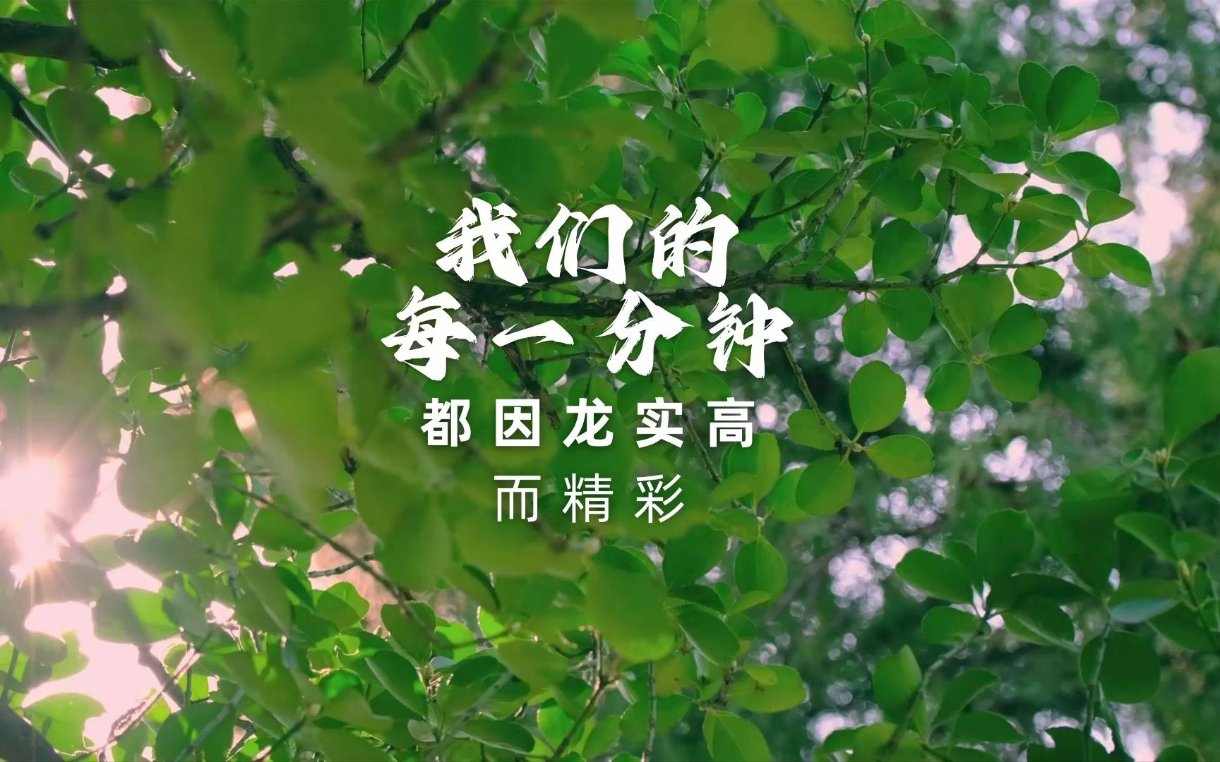 一分钟带你走进深圳市龙岗区实验高级中学,每一分钟,都因龙实高而精彩!