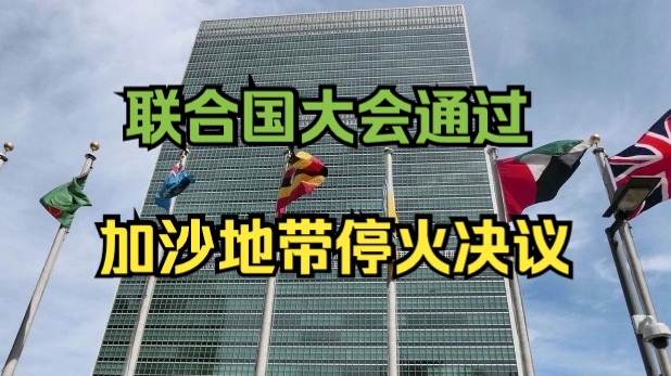 联合国大会通过要求加沙地带立即停火的决议