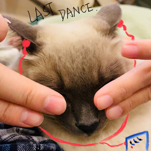 超级无敌曾可爱 