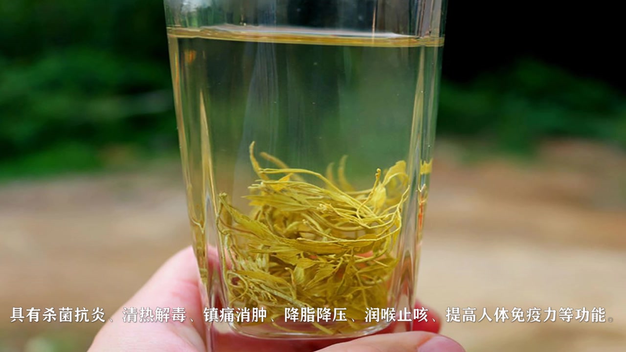 莓茶真的可以治慢性咽喉炎吗?慢性咽炎喝霉茶有效吗?十个老头声力茶...