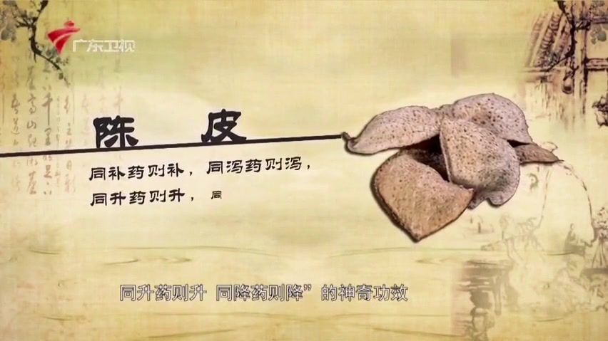 新会陈皮养生佳品❤️#陈皮 #宣传片 #中药养生