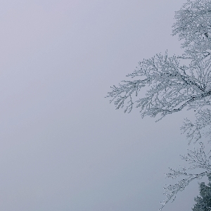 闲云日记 