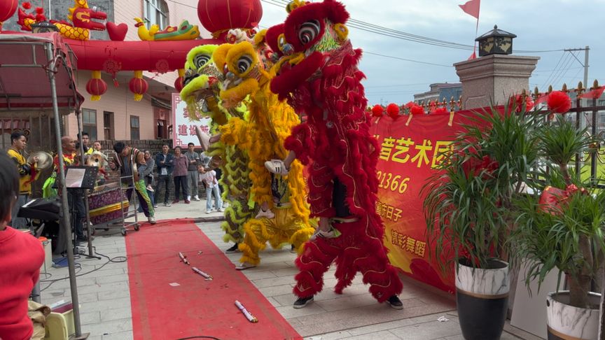 非物质文化遗产～舞狮表演节目,祝陈老板财源滚滚!富贵双旺!