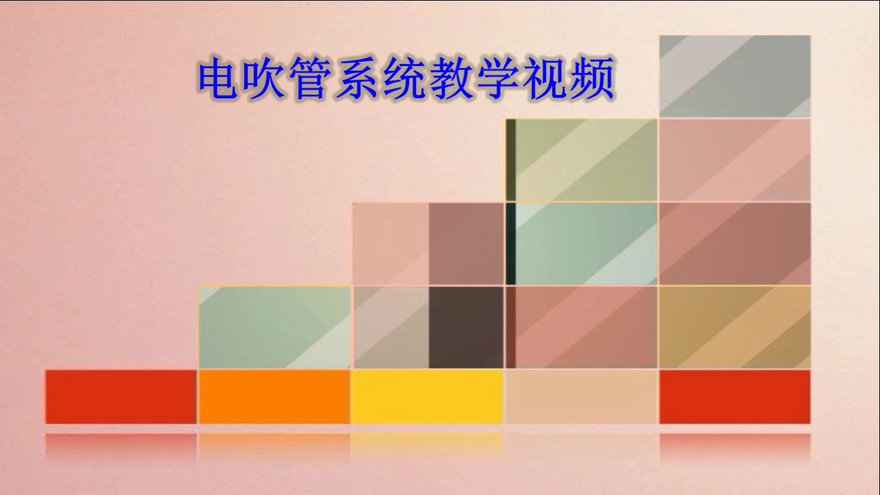 罗兰AE-10电吹管入门视频教程一--电吹管手握姿势