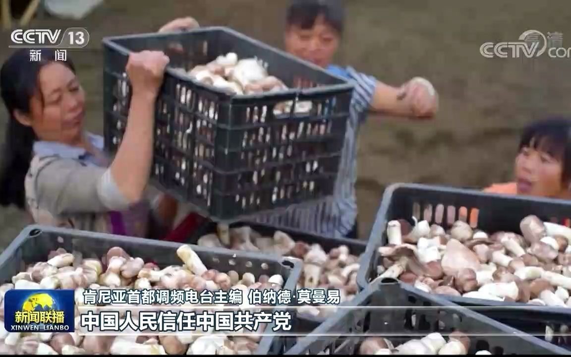 国际人士:中国为世界和平与繁荣贡献智慧和力量