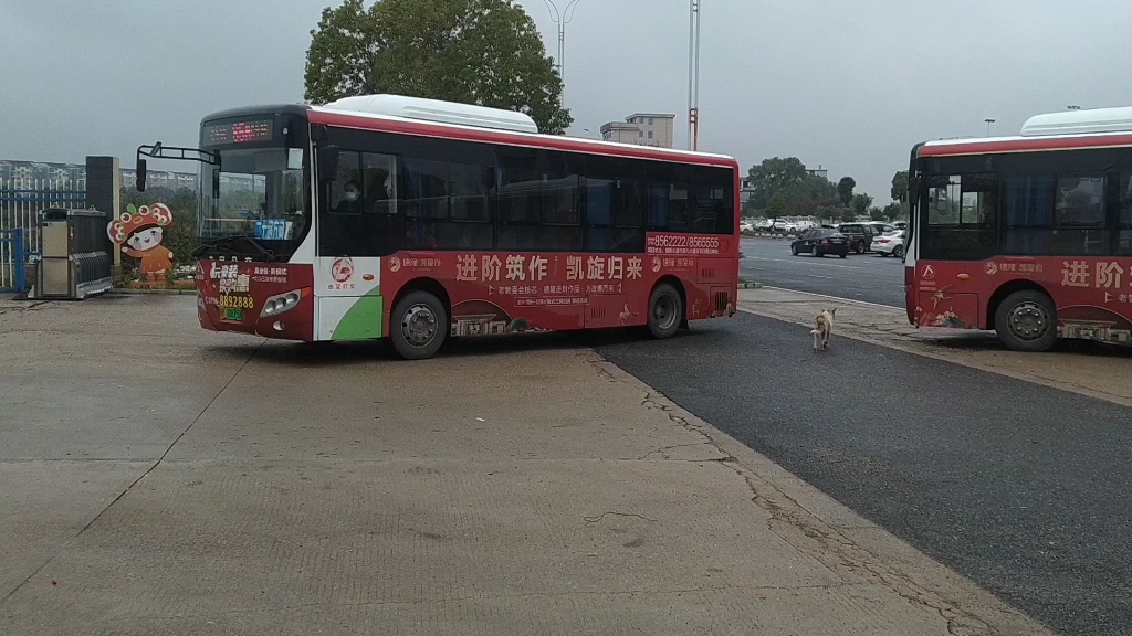 【POV1】学生专线吉安公交85路D线全程POV