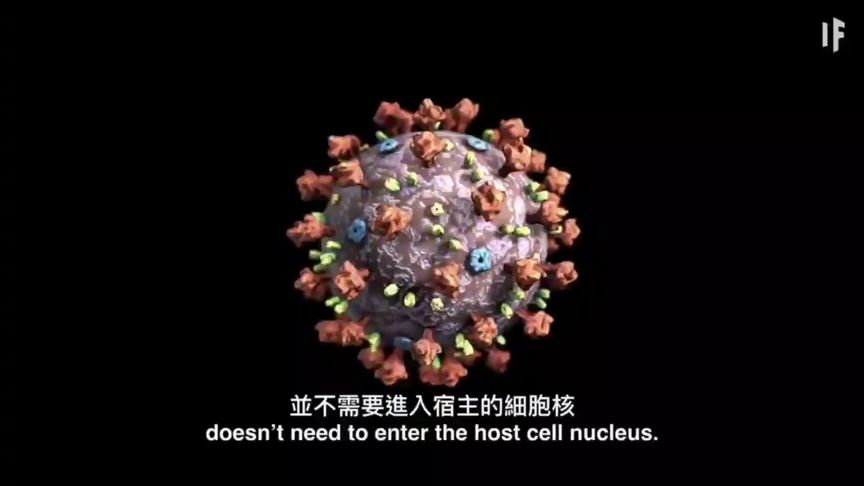 新型冠状病毒,会对你的身体造成哪些影响与危害呢?