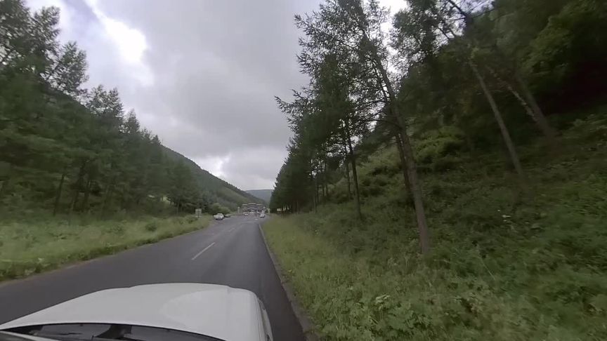 塞罕坝国家森林公园!#风景 #自驾游 #旅行 #自驾旅行 #大草原