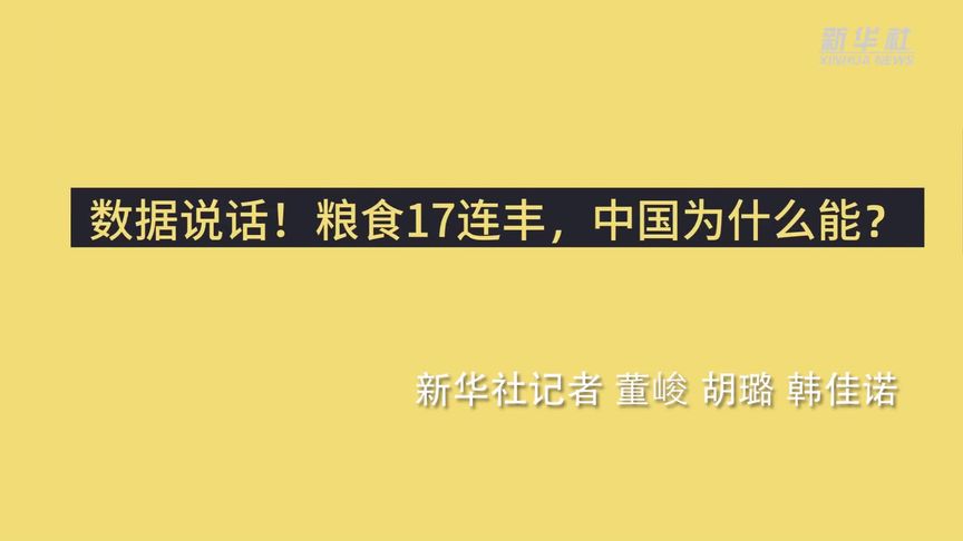 数据说话!粮食17连丰,中国为什么能?