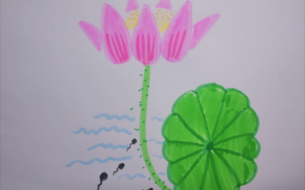 【简笔画】可爱的荷花绘画教程,简单美,认真画。