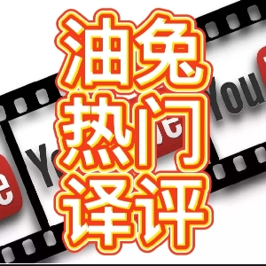 油兔热门译评 