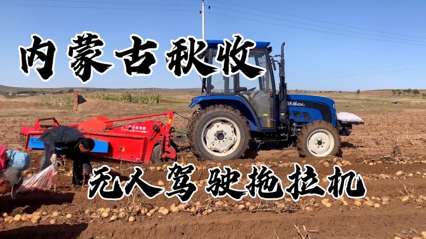 内蒙古秋收挖土豆,无人驾驶拖拉机,6毛钱的土豆,农民丰收季节