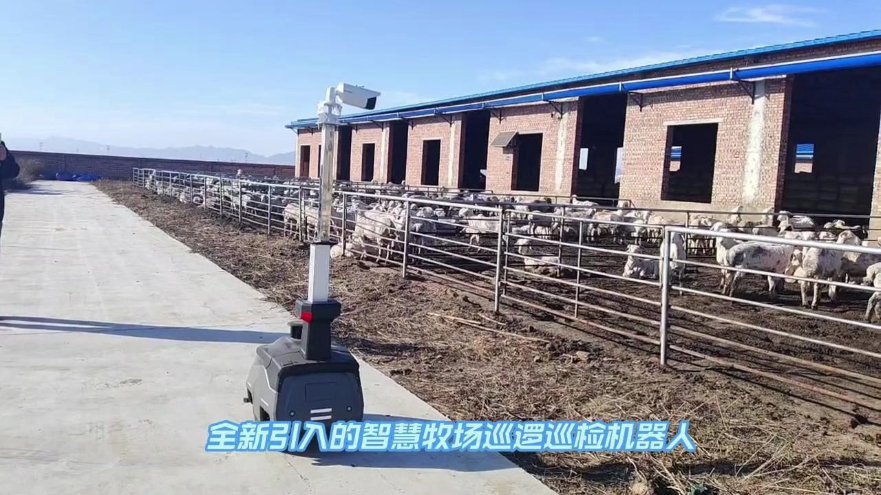安防巡逻巡检机器人在智慧牧场的应用