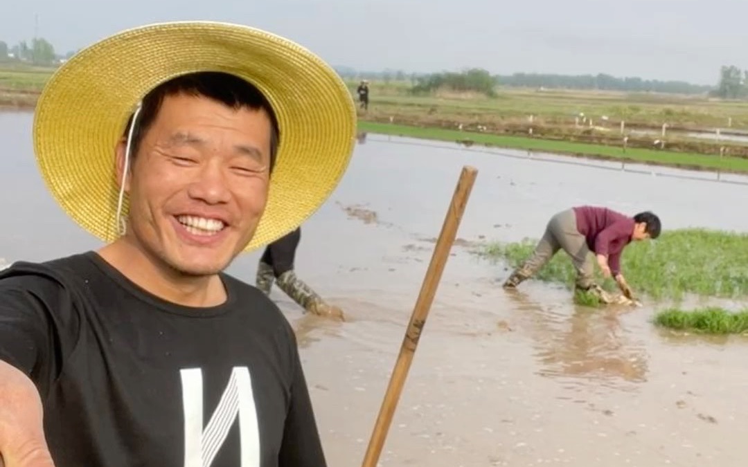 水稻种植第二阶段:移栽秧苗