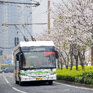 沃客剑心 