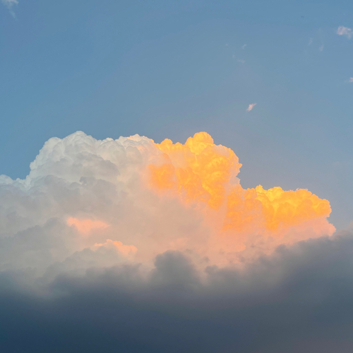 Photo_Ni 
