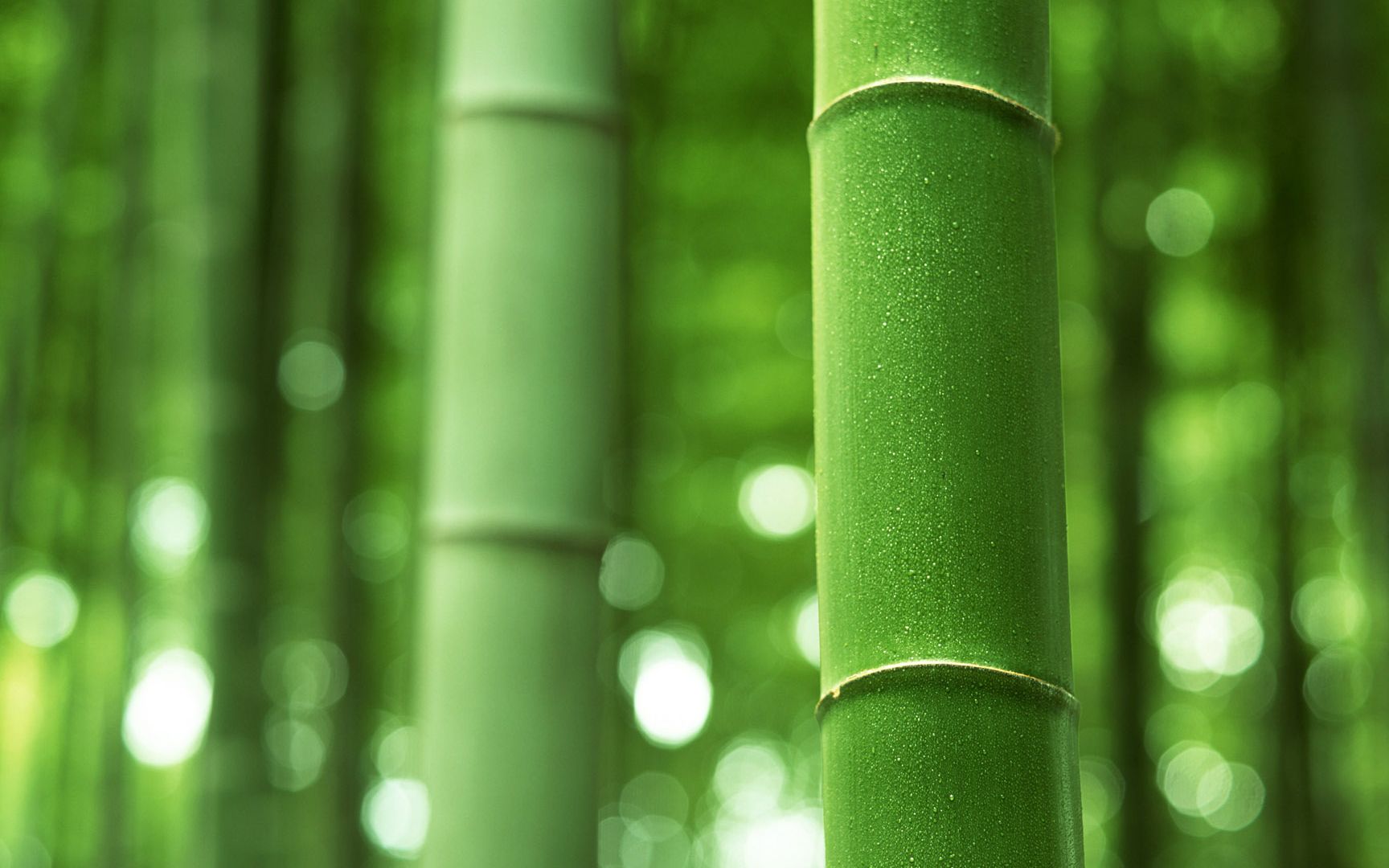 我的世界Minecraft:制作资源包-简易版