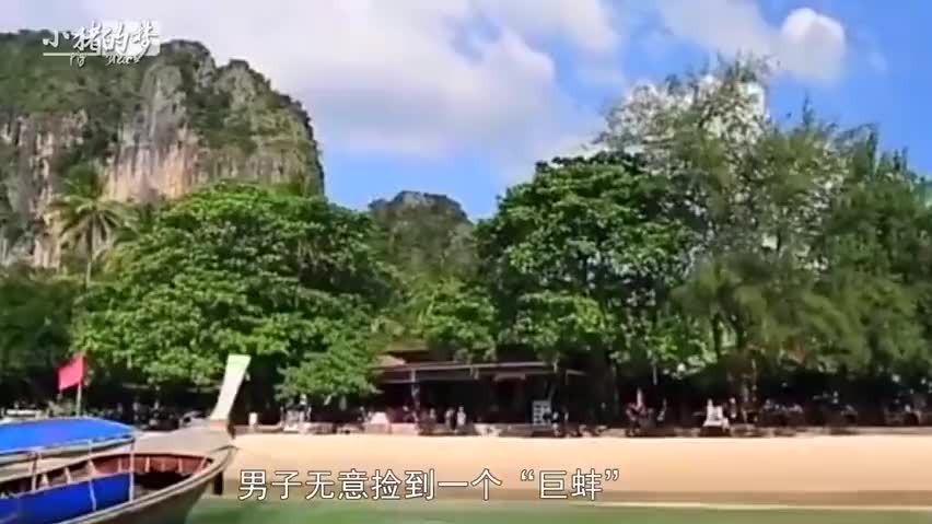 男子意外捡到巨型珍珠蚌,下一秒打开后,肠子都悔青了