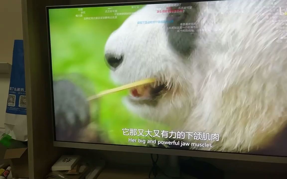 32寸4k的显示器 告别颗粒感!观影天花板!