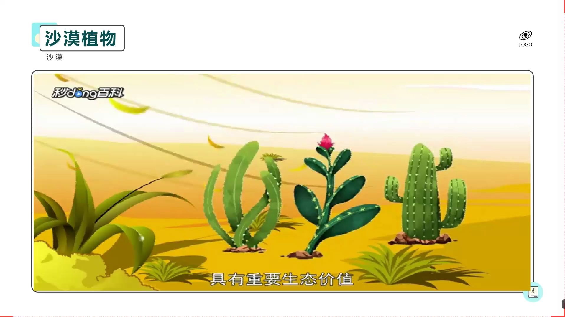 2.2沙漠中的植物(5月22日)