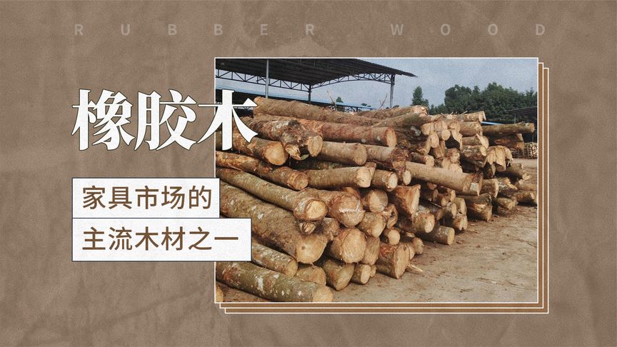 橡胶木——家具市场的主流木材之一