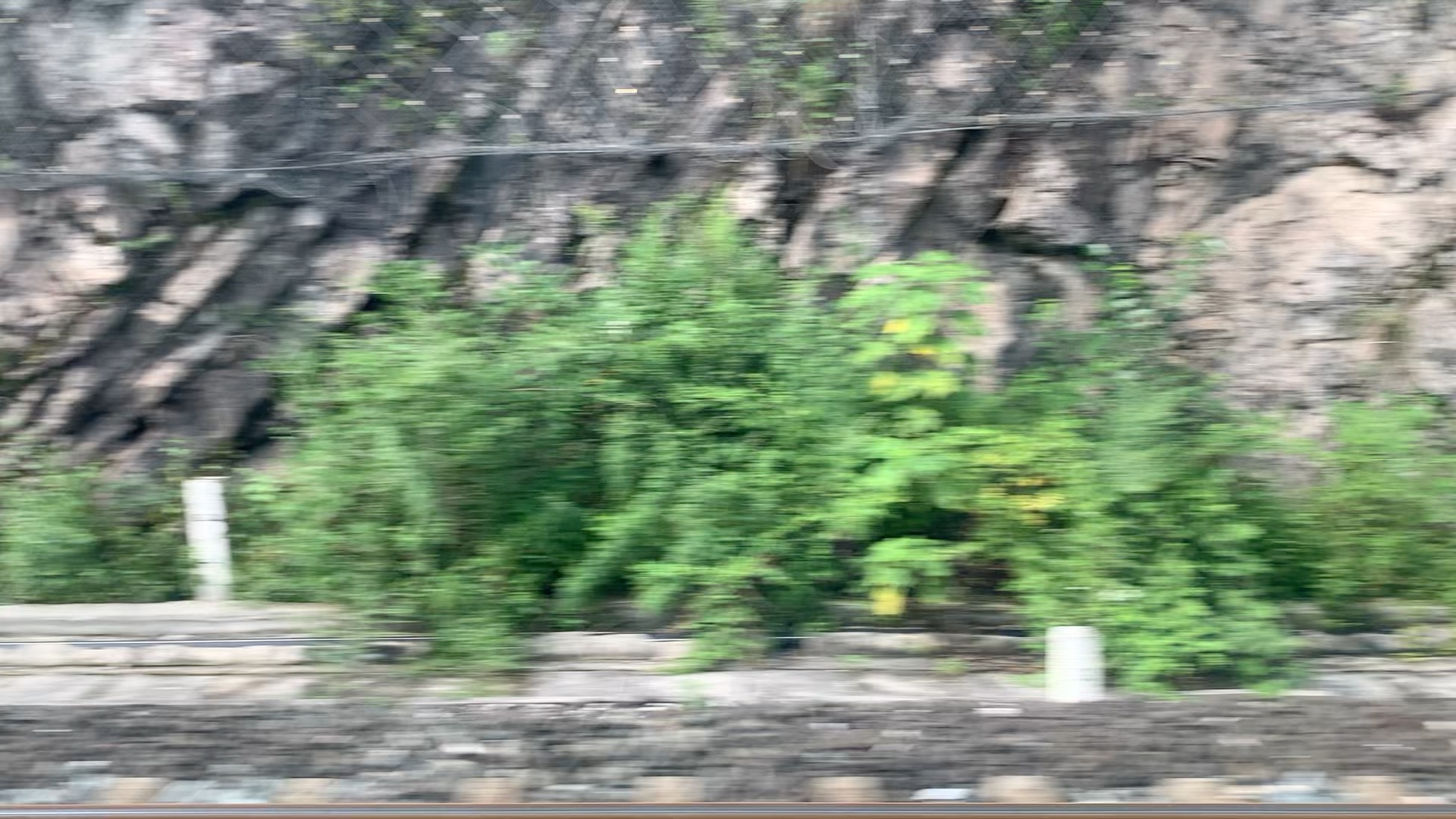 G1321次(上海虹桥站-六盘水站)本务成都动车段CRH380D统型重联...