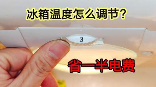 真没想到,电冰箱这样设定温度,一年能省几千块的电费,太划算了