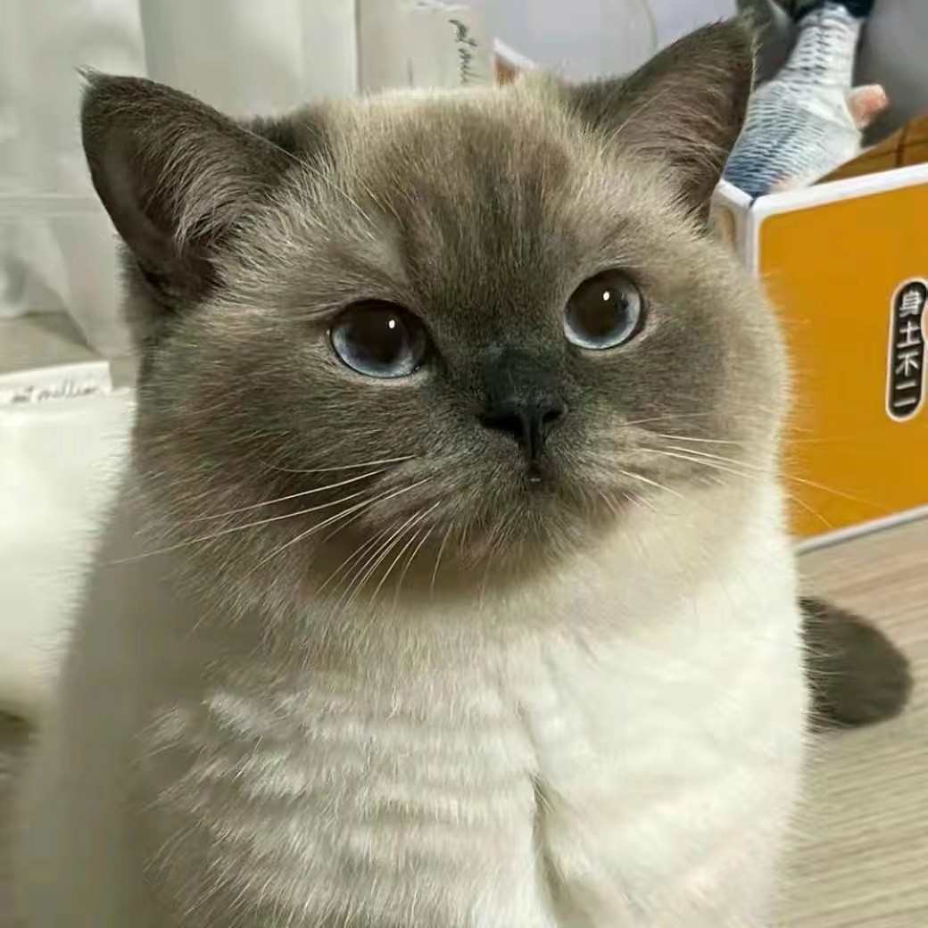 好运来来5 