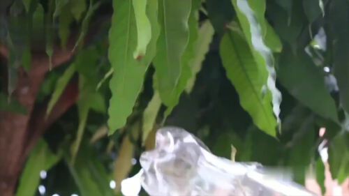 矿泉水瓶不要仍,12个小发明,秒变生活神器,简单又实用