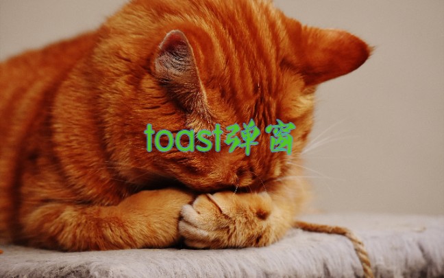 使用mt管理器给软件添加toast弹窗