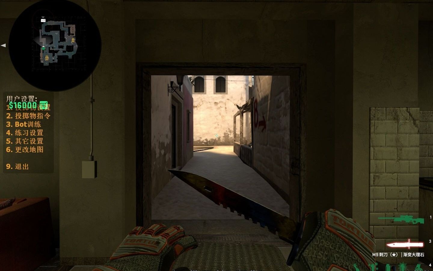 [csgo] 不定时就瞬移,卡顿一下。