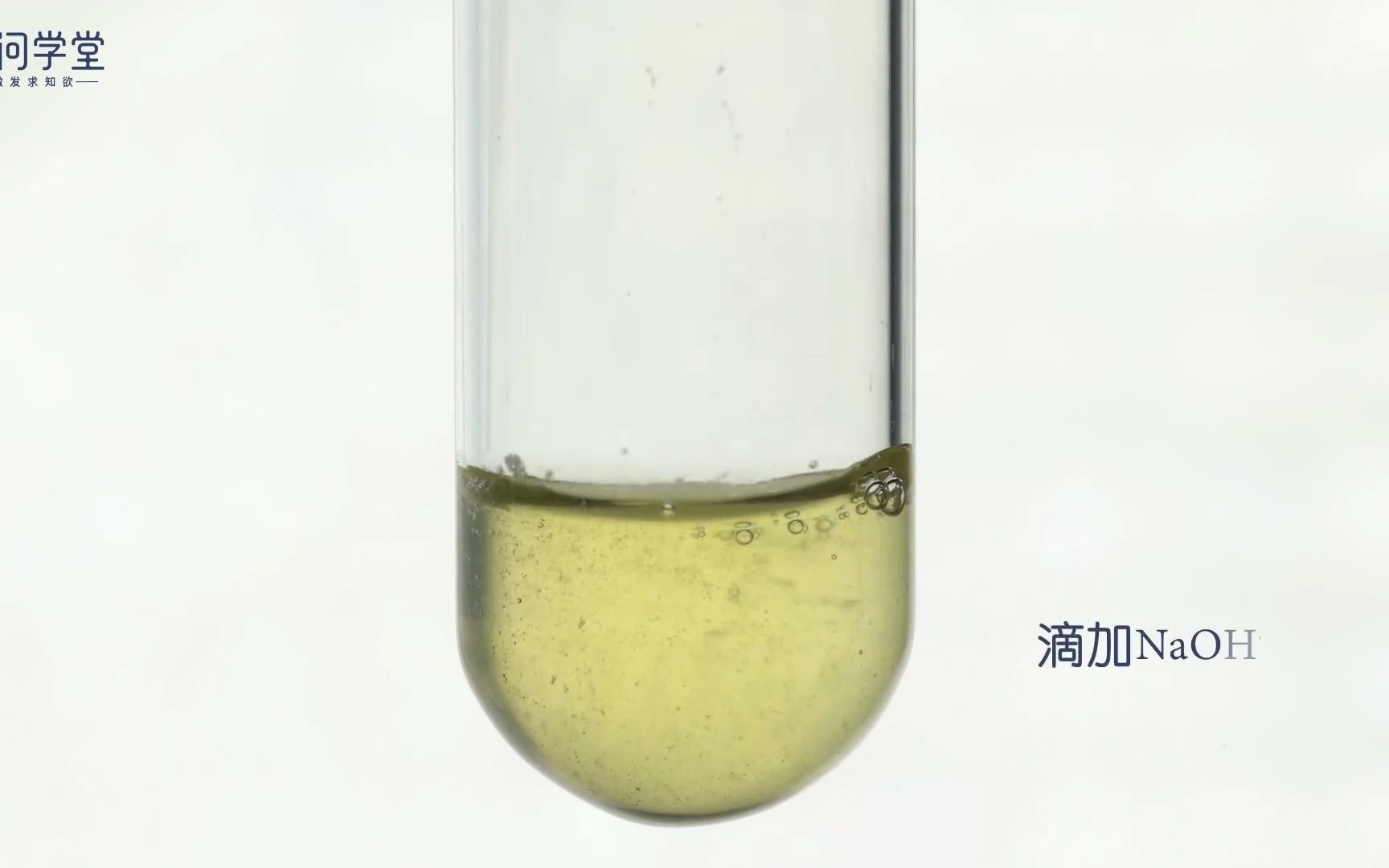 07-蛋白质的颜色反应