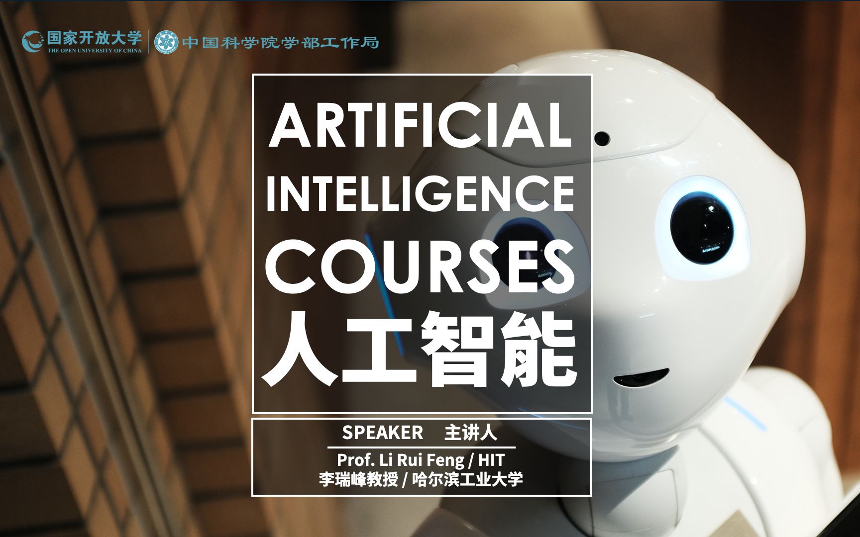 【国际版课程】大数据与人工智能 (下)