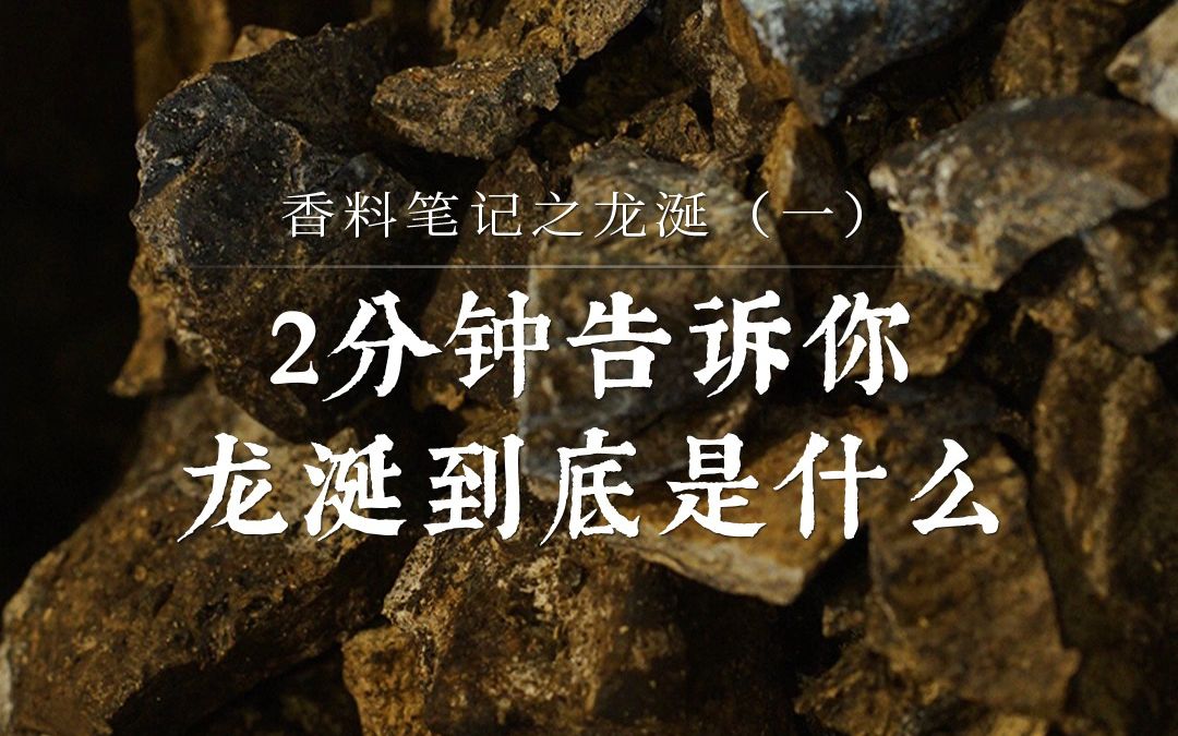 2分钟告诉你神秘的龙涎香到底是什么?