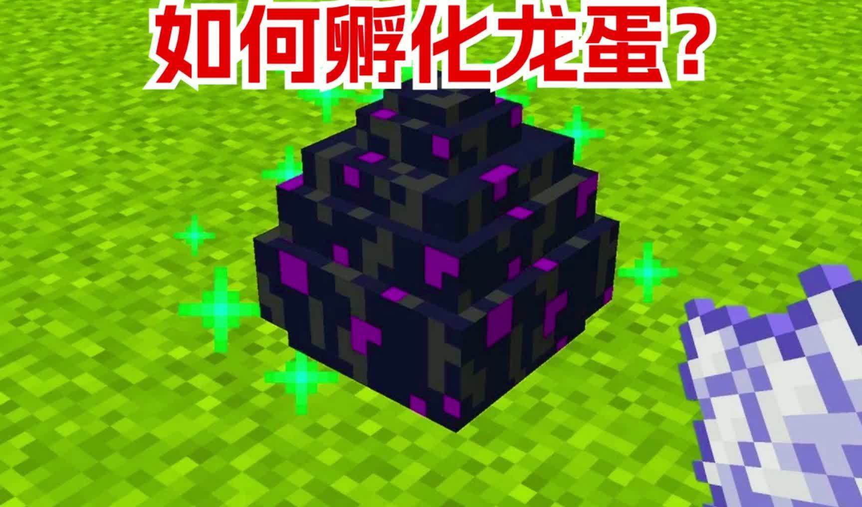 我的世界:如何孵化龙蛋