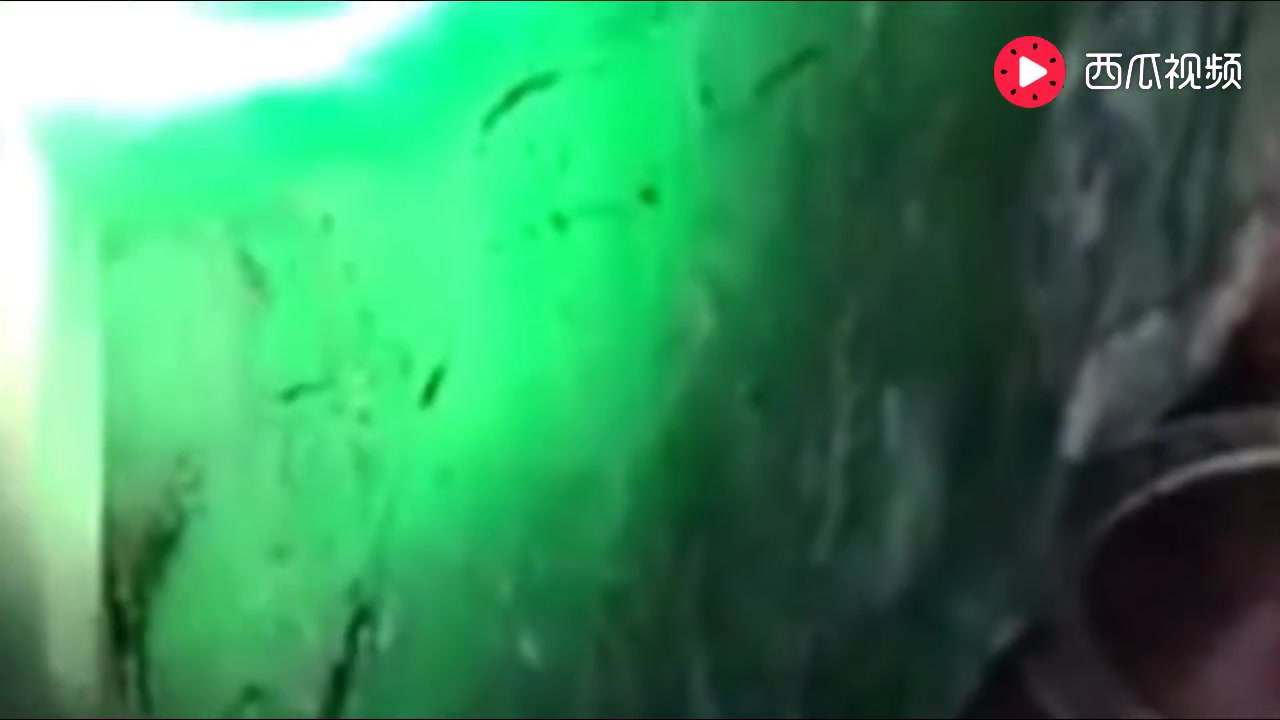 5.2亿翡翠原石太珍贵,怕伤料用线切割,料子切开瞬间货主心凉了!