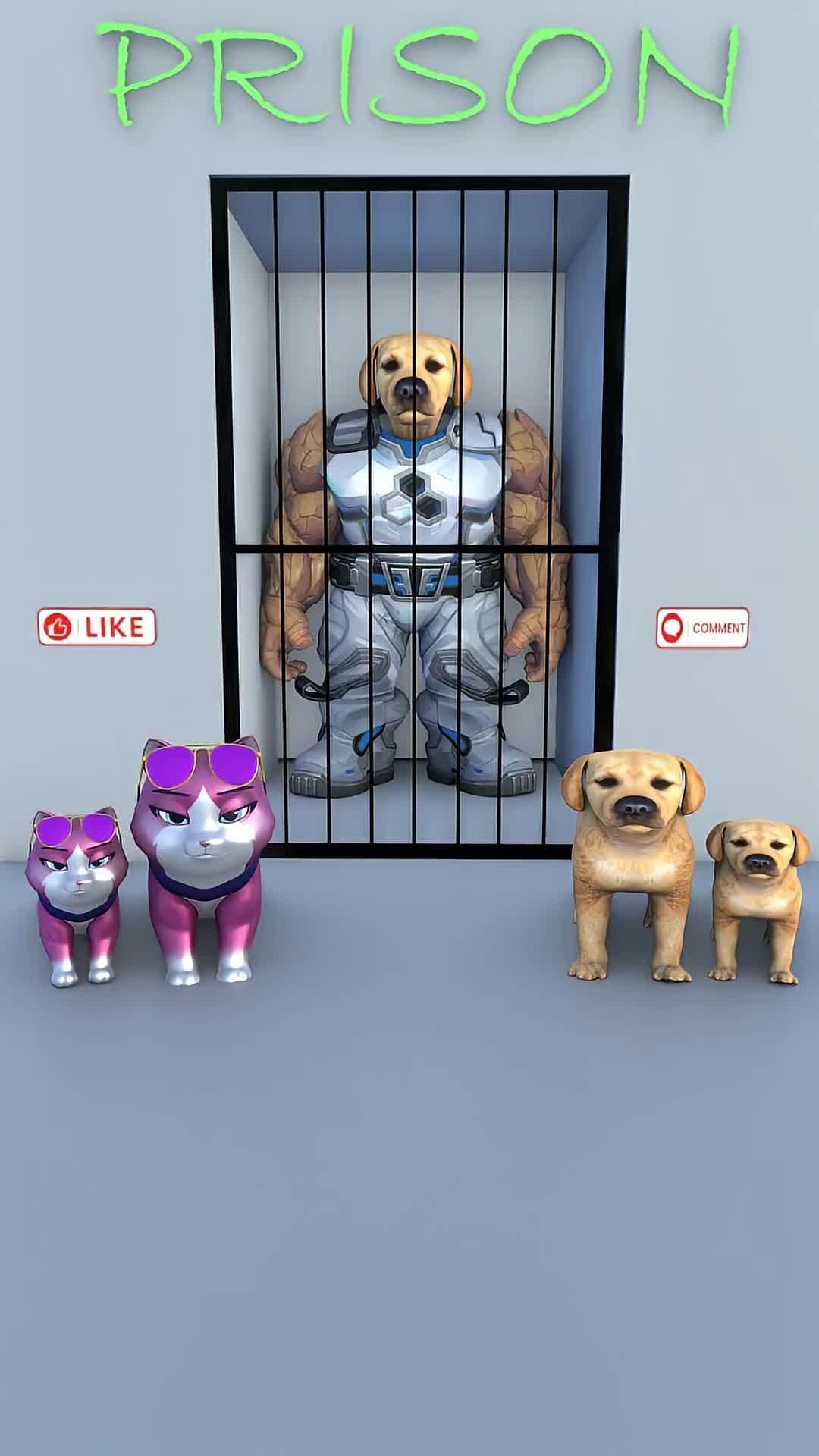 壮汉狗的跳舞表演