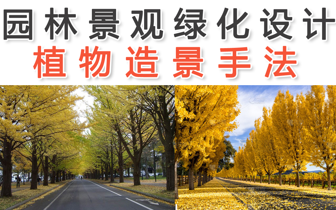 园林景观绿化种植设计--植物造景手法