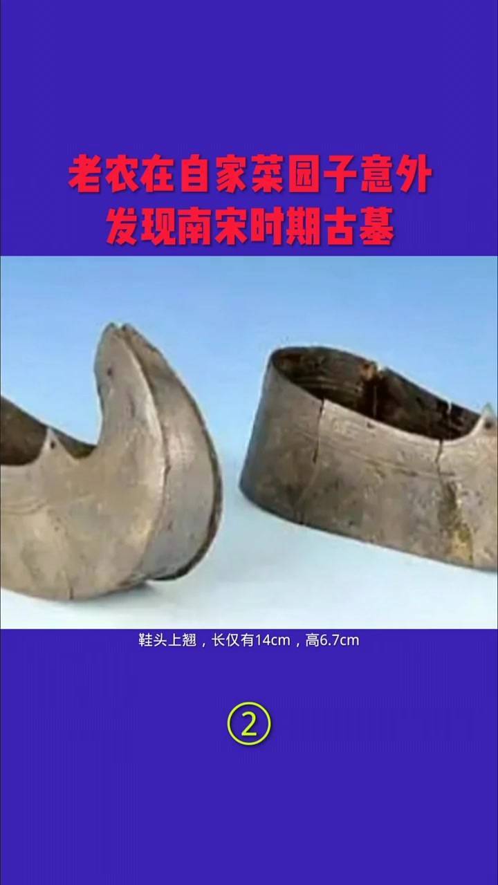 农民在自家菜园子发现南宋时期发现历史