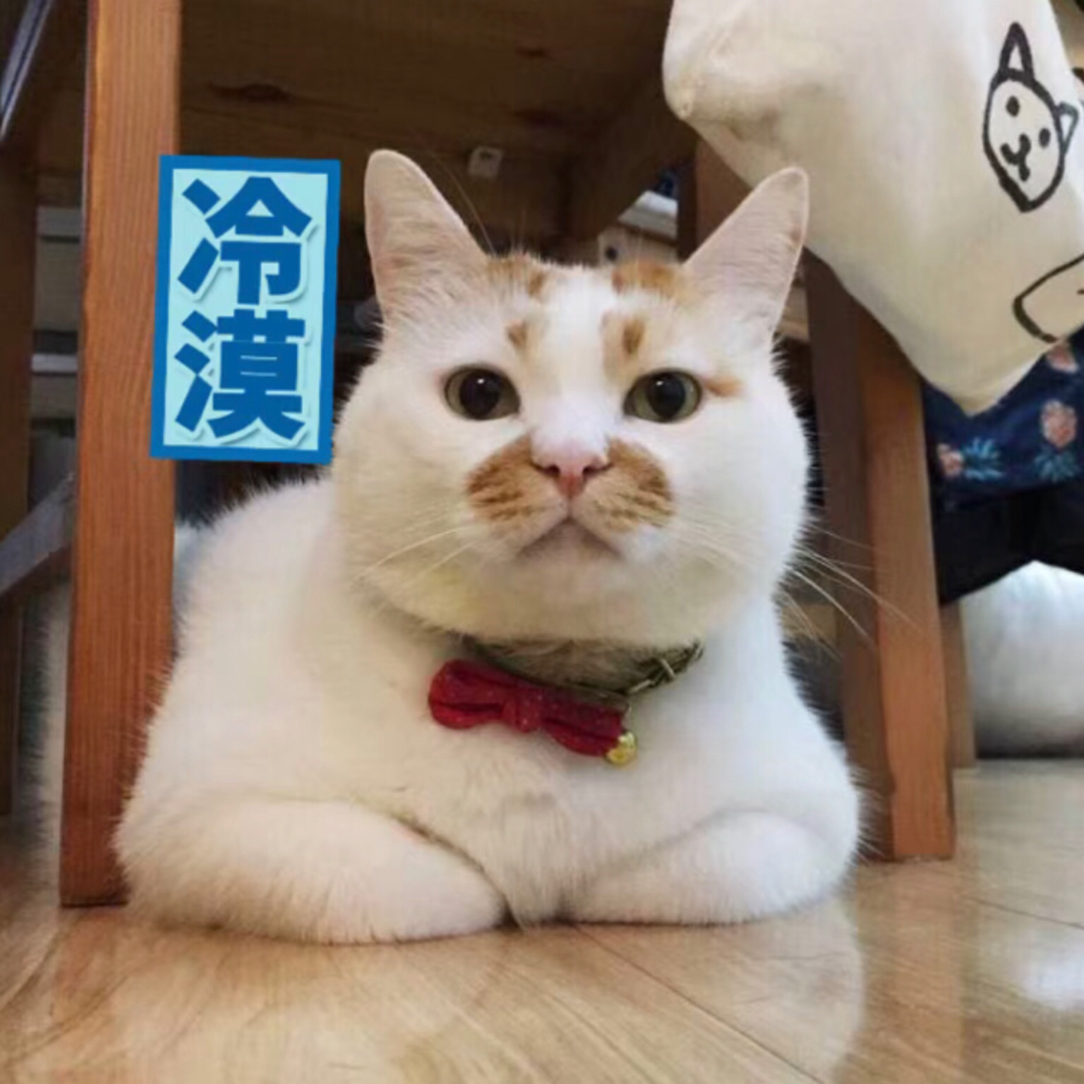 淮上云川 