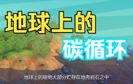 【大学生组一等奖】地球上的碳循环