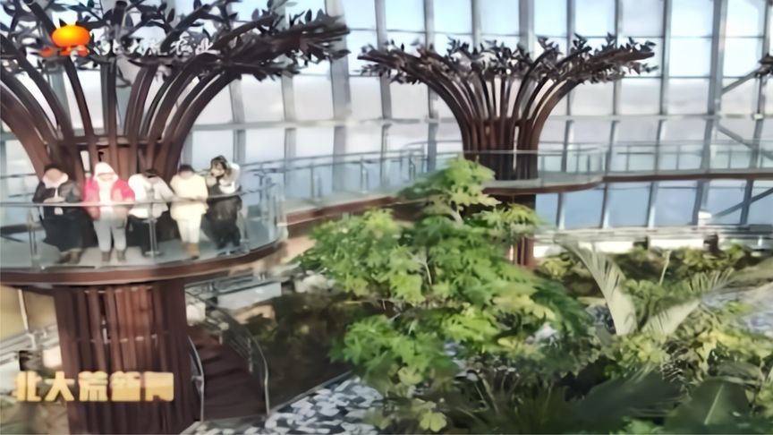产业园区转型升级,培育经济发展新动能