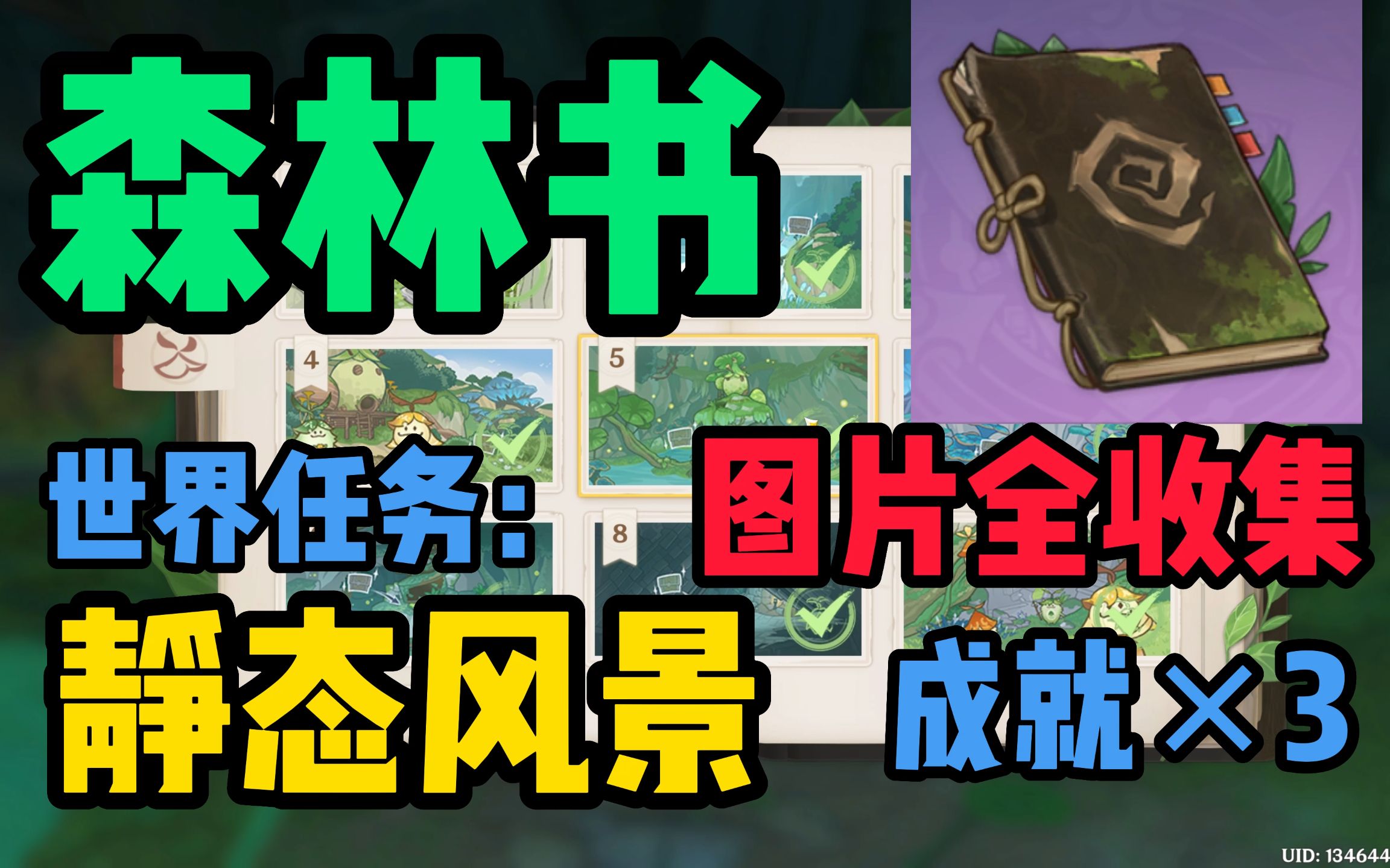 森林书任务:静态风景照片全收集,内含3成就