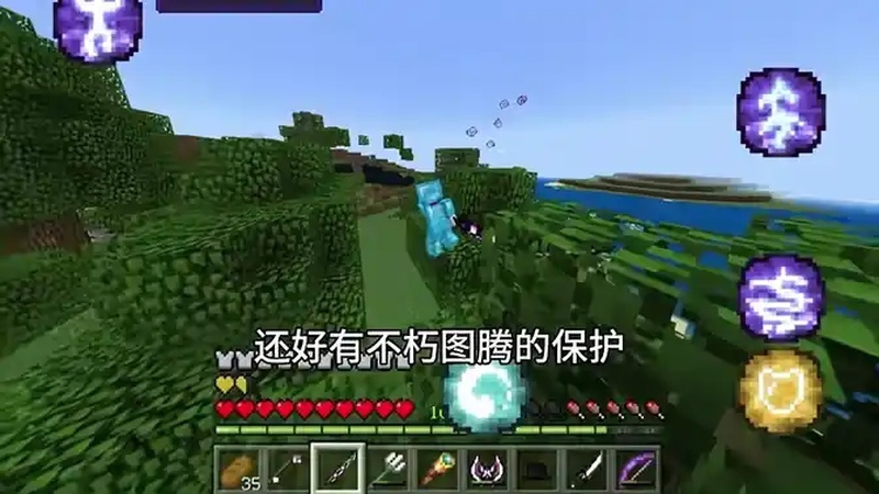 我的世界:《击败实体303》
