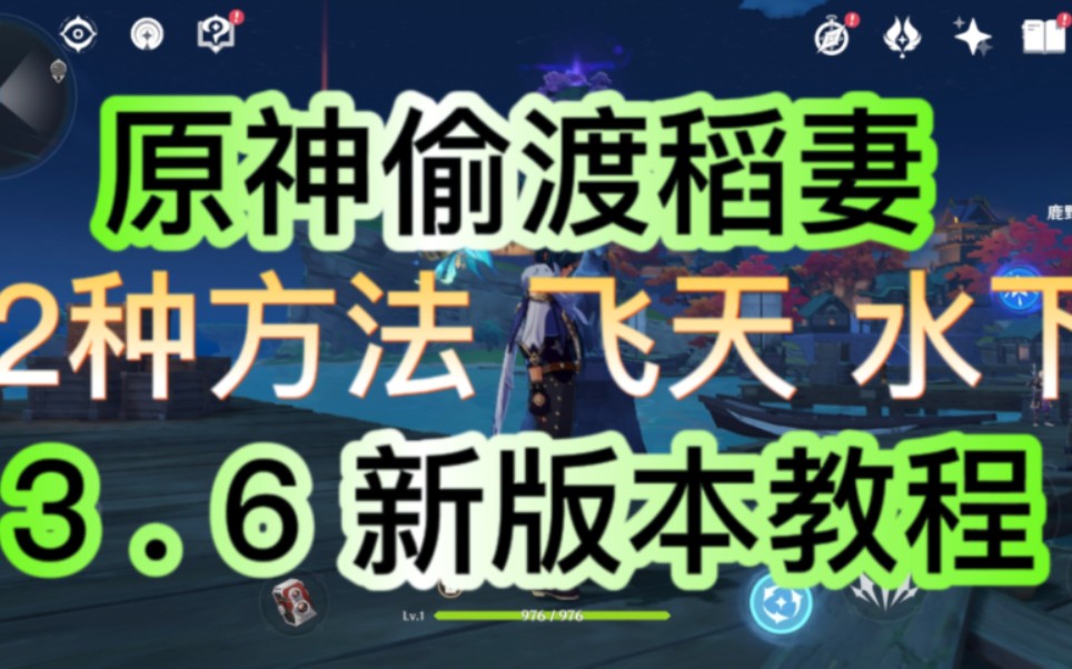 原神偷渡稻妻教程攻略,3.6版本偷渡稻妻
