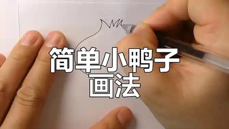 小鸭子简笔画教程,轻松学会可爱画风