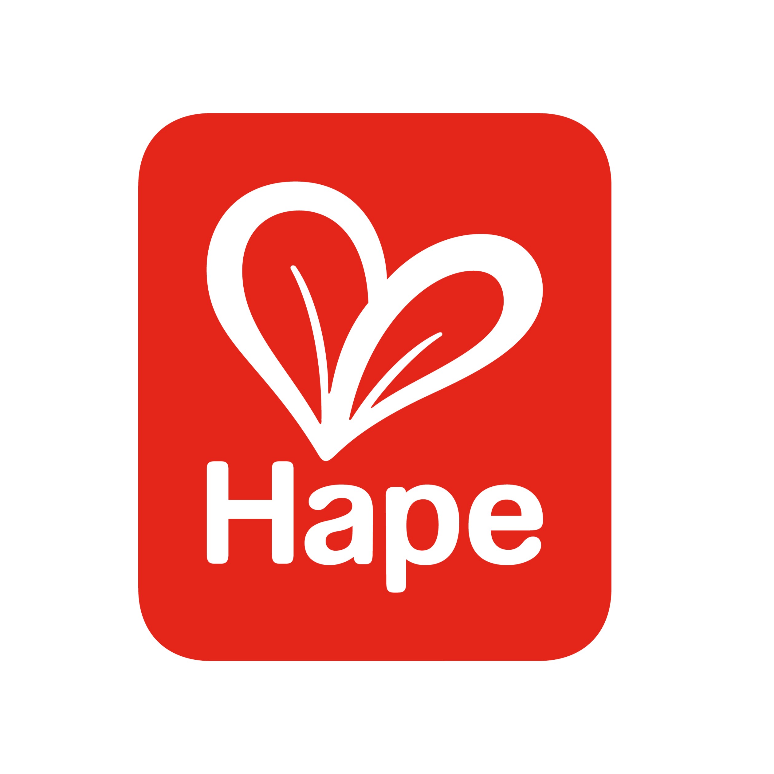 Hape怡人玩具 