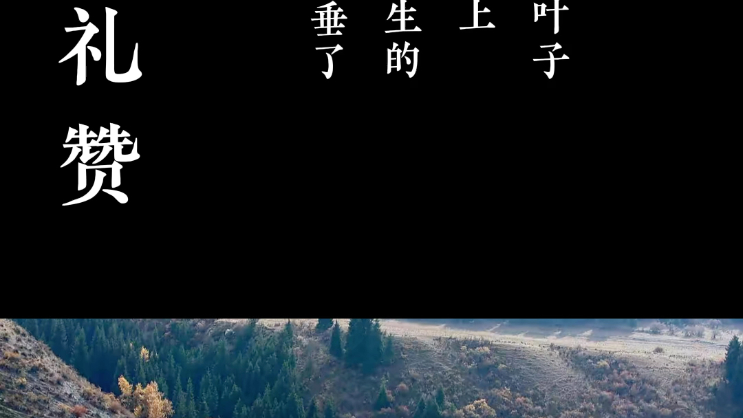 自备稿件朗诵55白杨礼赞