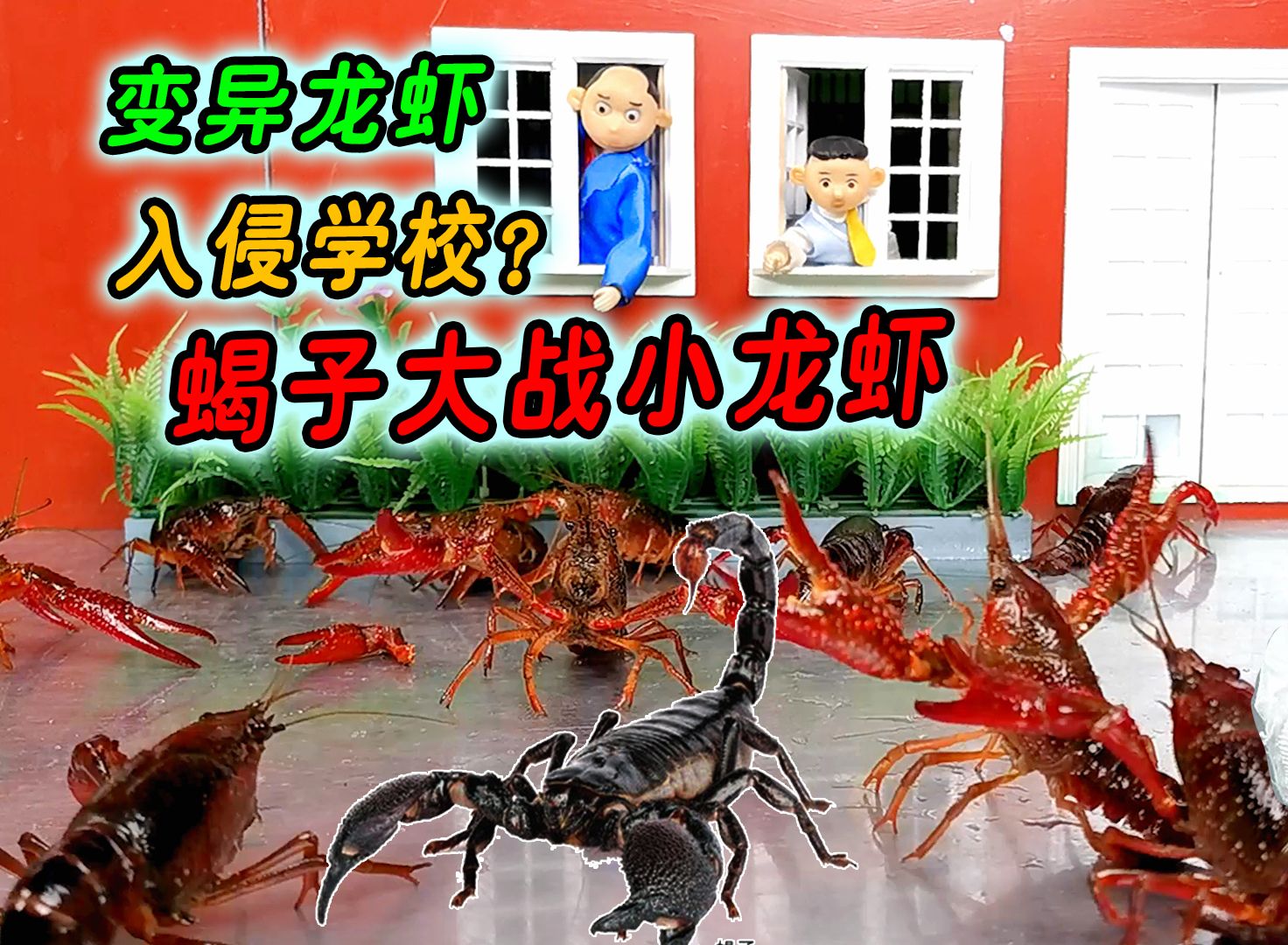 动画:变异小龙虾入侵校园大战蝎子,龙战士星源找到龙虾变异原因